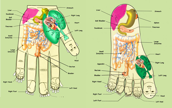 4 Acupressure Sujok Reflexology treatment Nashik